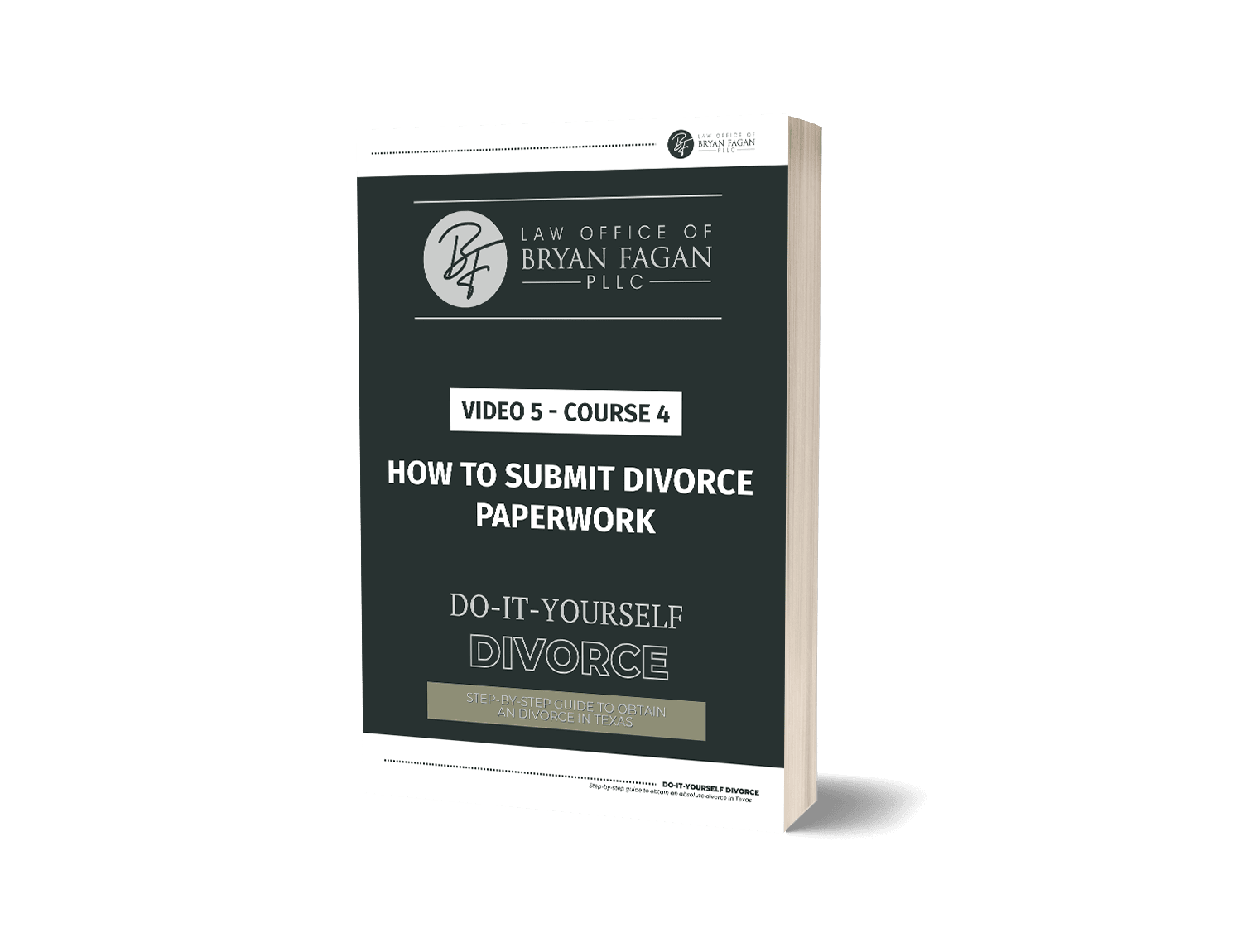 BRYAN FAGAN DIY DIVORCE bryan-fagan-diy-divorce